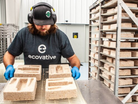 Ecovative Design: Saving the Planet with Mushrooms - WAYA