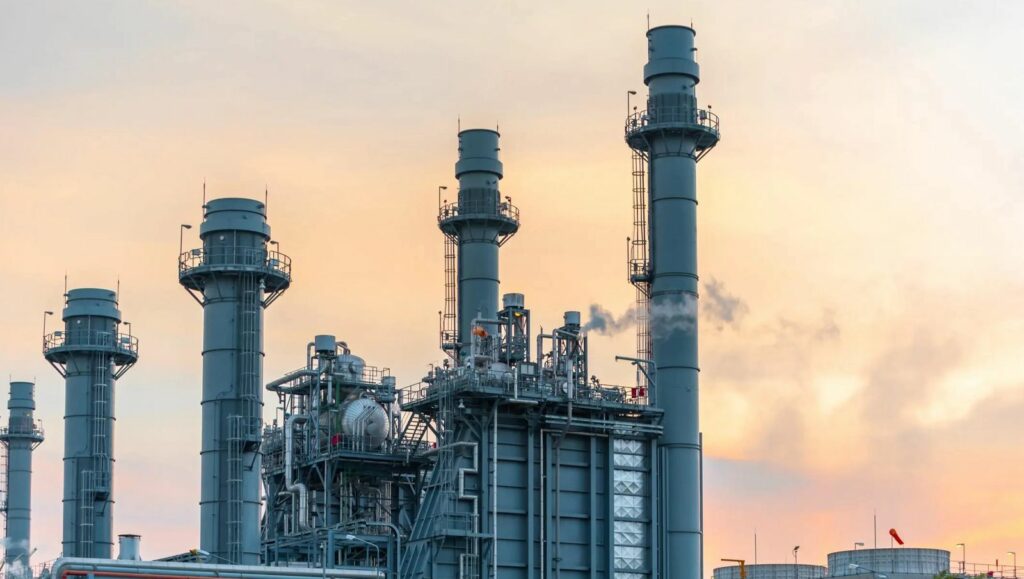 Egypt’s Biogrand to Set Up Fertilizer Plant in Saudi Arabia - WAYA